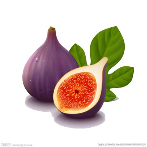 无花果设计图水果生物世界设计图库昵图网