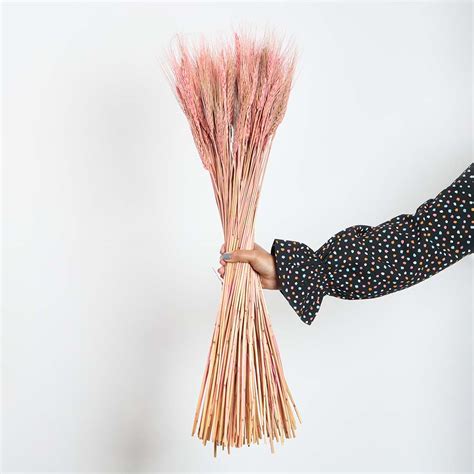 Natural Wheat Grass Tall Decor Grass Whispering Homes