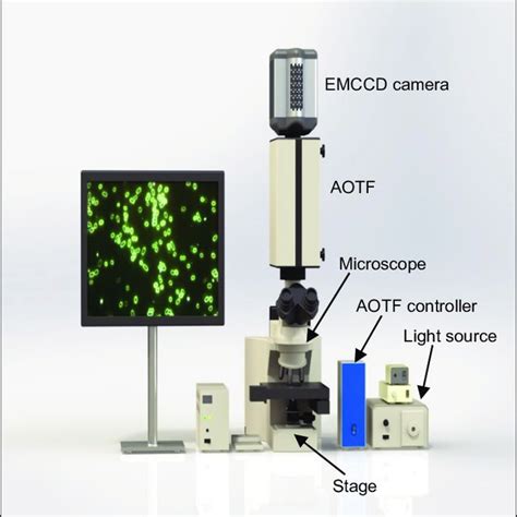 Aotf Hyperspectral Microscope Imaging System Download Scientific Diagram
