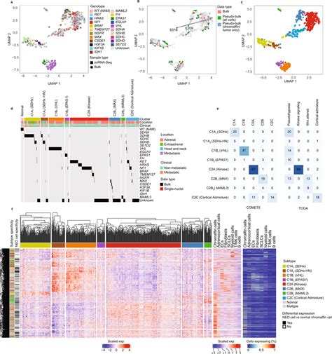 Pcpg Subtyping By Consensus Clustering Of Bulk Tissue And Pseudo Bulked