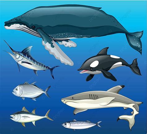 Different Types Of Fish Under The Sea Clipart Series Creature Vector Clipart Series Creature