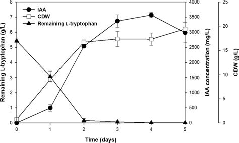 Iaa Production L Tryptophan Consumption And Cell Dry Weight In Batch