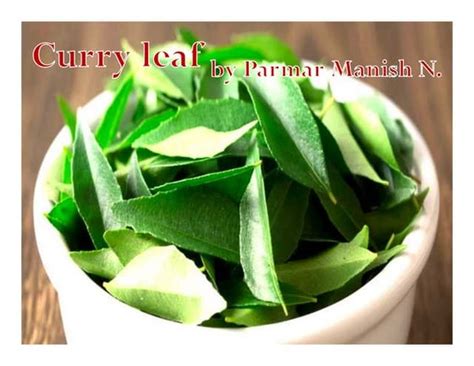 Leaf Apex Type Pdf Geology Science