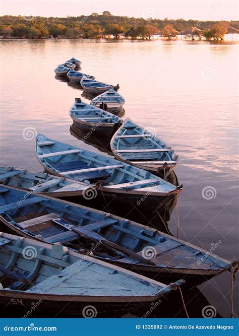 Canoas No Por Do Sol Foto De Stock Imagem De Linha Amazônica 1335092