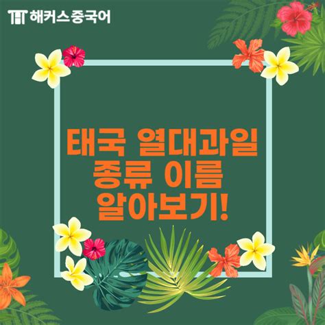 태국 과일 종류 이름 알아보기 태국 열대과일 종류 뭐가 있을까 네이버 블로그