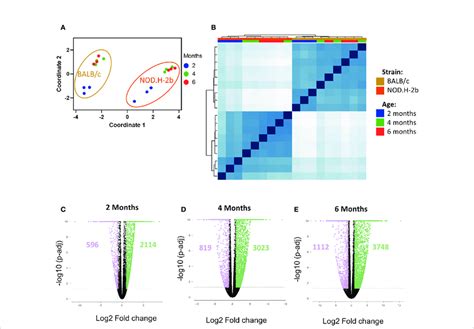 Qc Of Rnaseq Samples From Nod H 2b And Balb C Mice And Degs Bulk Rna