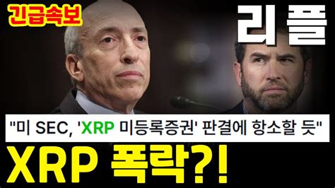 리플 Xrp 긴급속보 Sec 결국 항소한다 Xrp 폭락 이어질까 Youtube