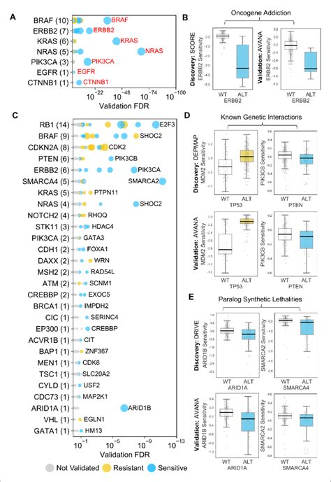 Identified Robust Genetic Interactions A Dot Plot Showing The Robust Download Scientific