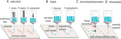 Extrusion And Droplet Based Bioprinting Techniques A Extrusion Download Scientific Diagram