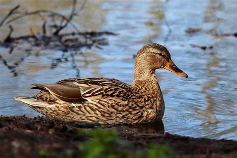 클라우드 서비스 활용 구글 드라이브 원드라이브 등 클라우드 저장소 사용