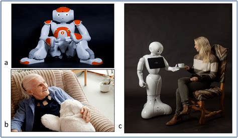 Examples Of Social Robots Anao An Autonomous Programmable Humanoid Download Scientific