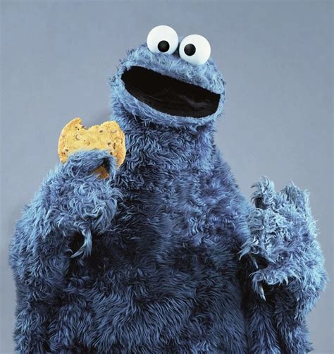 Sesame Street Characters Cookie Monster