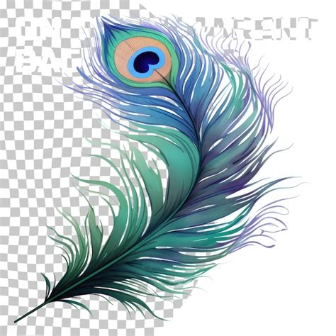 Peacock Feather Ai Psd 2000 High Quality Free Psd Templates For Download