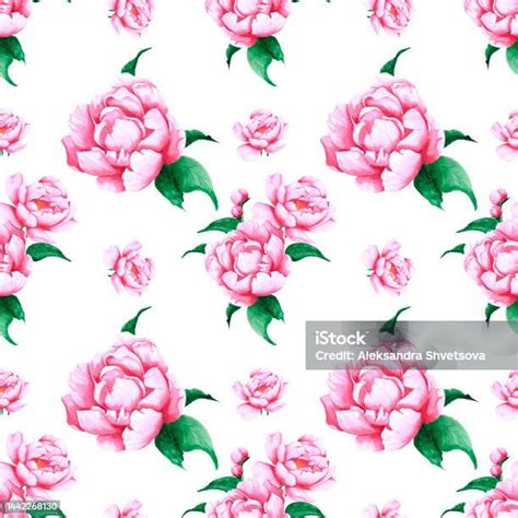 손으로 그린 수채화 분홍색 백합 꽃다발과 흰색 배경에 녹색 잎이 있습니다 스크랩북 디자인 타이포그래피 포스터 라벨 배너 엽서 백합에 대한 스톡 벡터 아트 및 기타 이미지