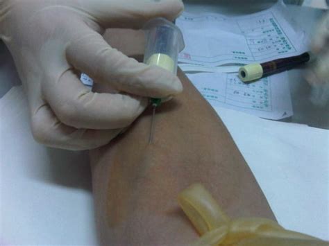 Unit 4 Cluster 3 Survival Flashcards Quizlet Unit 4 Cluster 3 Survival Flashcards Quizlet