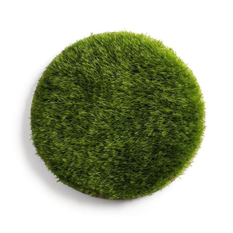 Premium Ai Image Grass Patch Isolated On White Background Premium Ai Image Grass Patch Isolated On White Background