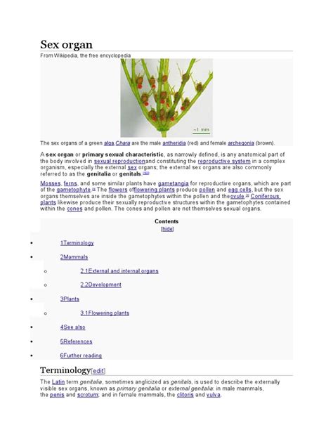 Sex Organ Terminology Pdf Sex Organ Clitoris
