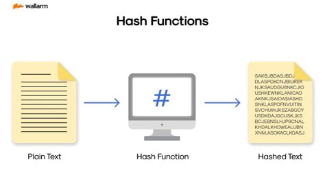 Understanding Data Encryption A Complete Guide
