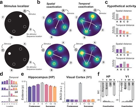 Successor Like Representation Guides The Prediction Of Future Events In Human Visual Cortex And