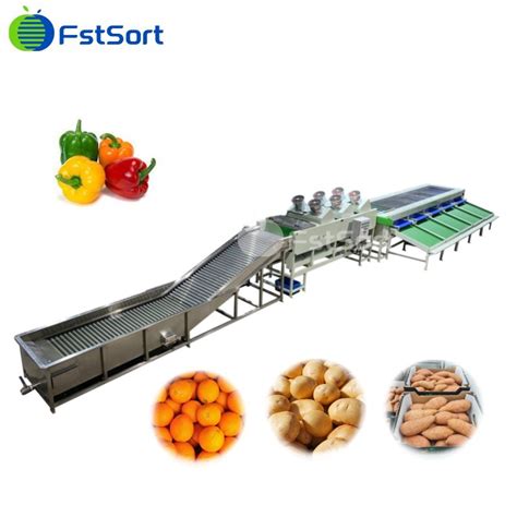 Fstsort Sweet Potato Packing Line Washing And Sorting Sweet Potatoes