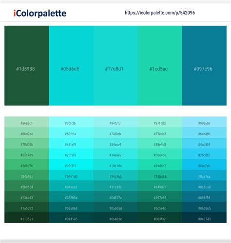 530 Latest Color Schemes With Java Color Tone Combinations 2022 IColorpalette