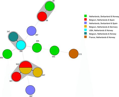 minimum spanning tree of all genotypes identified in at least three