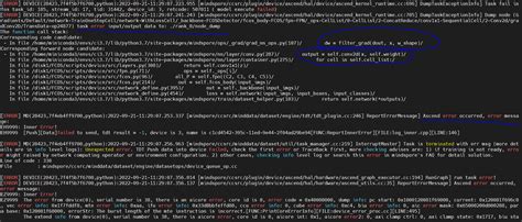 Mindspore在训练网络时报错discrete Action Size Of The Model Does Not Matcht Csdn博客