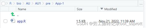 r包shiny的学习 完整 记录（上） csdn博客