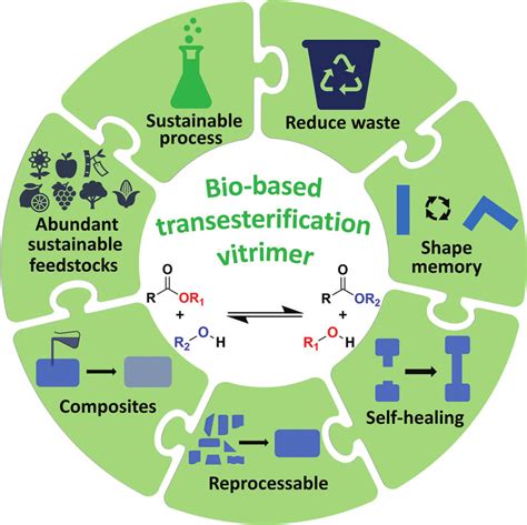 Schematic Illustration Of Dynamic Transesterification Bond In Biobased