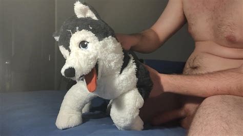 Shooting A Load On My Plush Husky S Face Gay Cum Tribute Porn Xhamster
