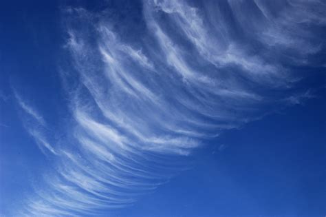 Investigate Our Climate And Weather