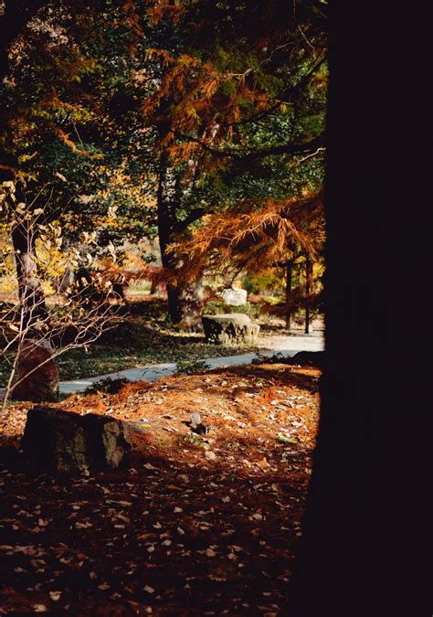 Campus Is Beautiful R Uiuc