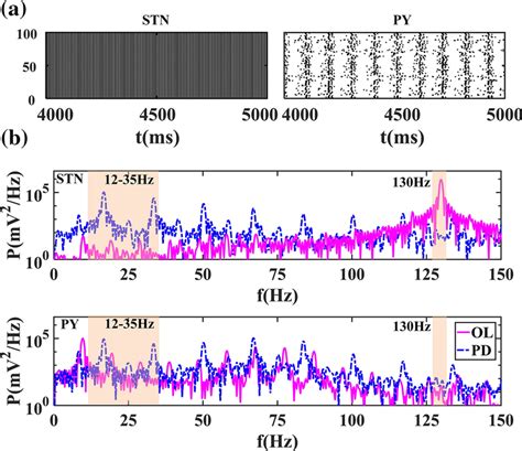 the effect of the stn dbs in the open loop control strategy a the