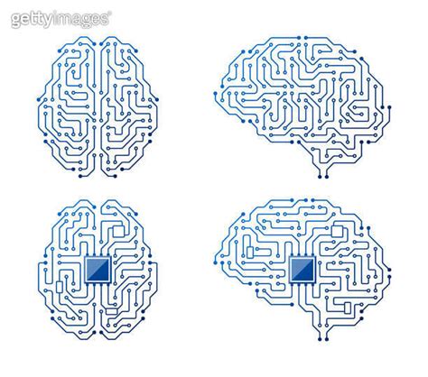 Cerebellar Electric Circuit Pathways Indicate Flow Of Electrical Signals Of Neurons Forming