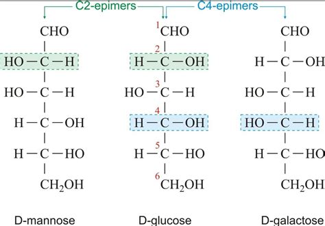 Epimers Are A Pair Of Diastereomeric Aldoses That Difler Only In Bhu