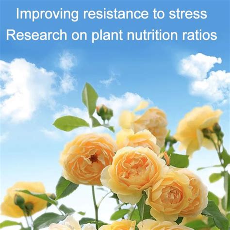 Rapid Flower Promoting Nutrient Solution Greeniopk