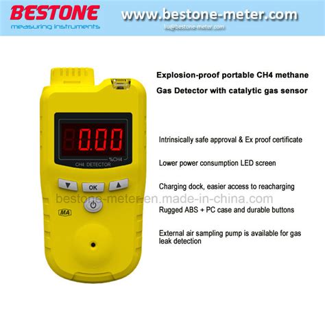 China Explosion Proof Low Price Portable Ch4 Methane Gas Detector With