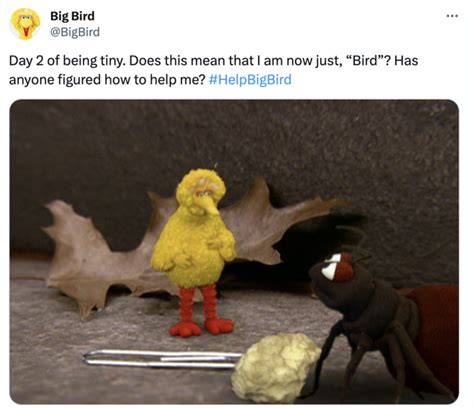 Small Big Bird Know Your Meme