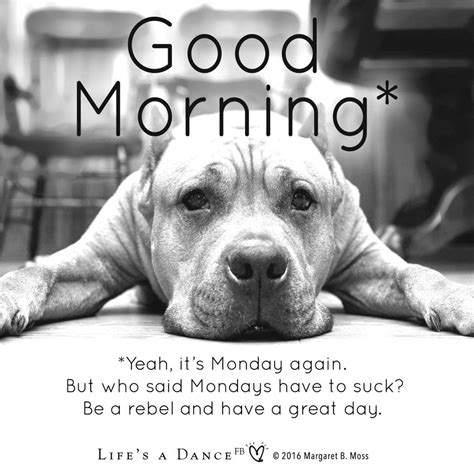 Positive Monday Meme Meme Monday Improv
