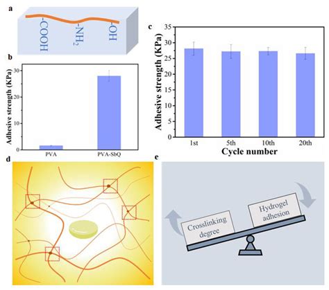 The Effect Of Crosslinking Degree Of Hydrogels On Hydrogel Adhesion