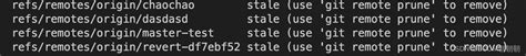 git remote prune origin 的用法 csdn博客