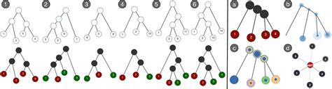 Figure From A Structural Average Of Labeled Merge Trees For Uncertainty Visualization