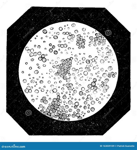 Fat Globules As Seen Under A Microscope Vintage Engraving Stock Vector Illustration Of