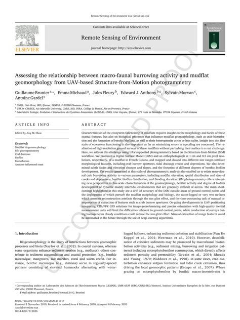Pdf Assessing The Relationship Between Macro Faunal Burrowing