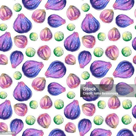 흰색 배경에 수채화 무화과의 원활한 패턴 손으로 그린 밝은 배경 질감 베리의 이미지 스케치 스타일의 과일 초대장 스크랩북 식품