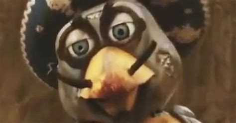 Tito Turtle Album On Imgur