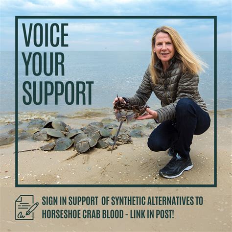 tim cernak on linkedin it s time to stop using rare species for medicine