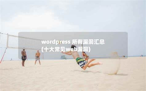 Wordpress 所有漏洞汇总十大常见web漏洞wordpress教程 Cms网站吧
