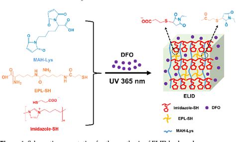 Figure 1 From Antibacterial And Angiogenic Poly Ionic Liquid Hydrogels Semantic Scholar