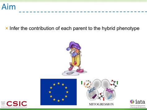 Reticulate Evolution In Yeasts And Its Industrial Applications Ppt